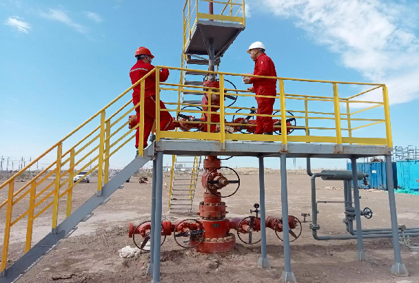 PSL 1-4 Oil Gas Wellhead Tree Xmas Tree Valves PR1 PR2