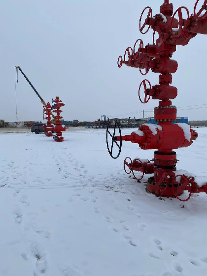 Mandrel Type Slip Type Wellhead Equipment Casing Head PR1 PR2