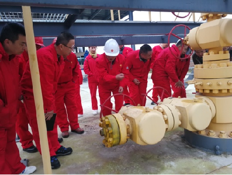 API 6A Stainless Steel Wellhead Christmas Tree In Petroleum